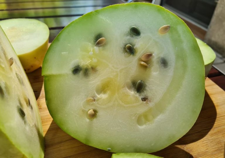 Recette : Confiture de gigérine - Lorminy